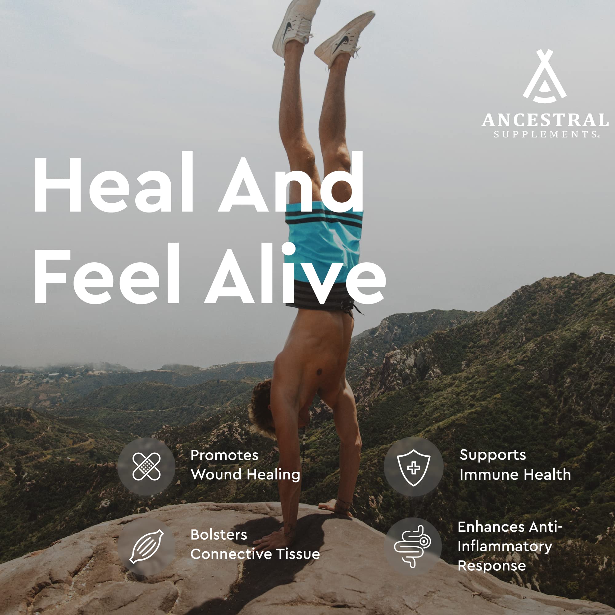 ancestral supplements for immune support
