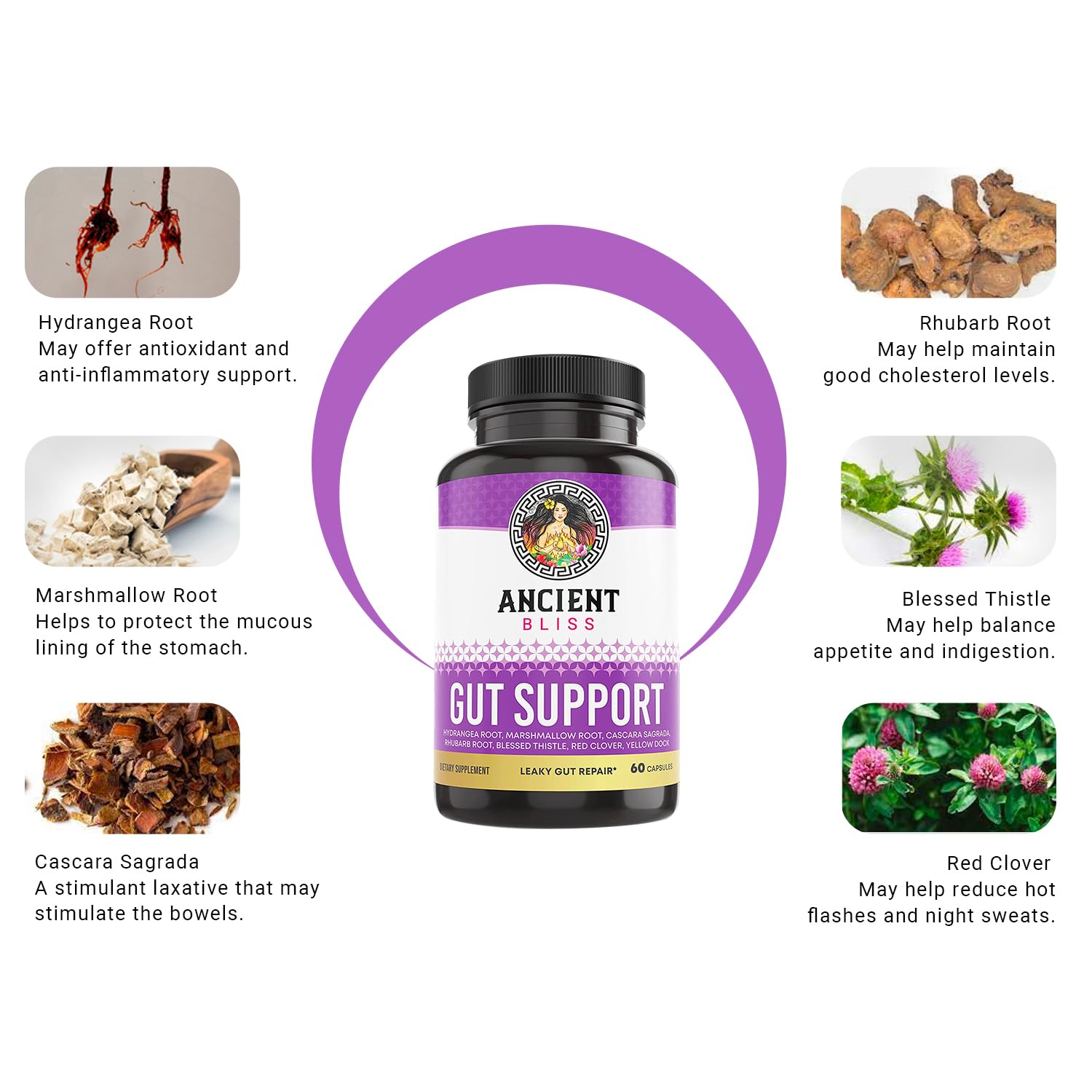 Ancient Bliss multivitamins for immune support