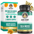 Ancient Bliss sea moss capsules for wellness