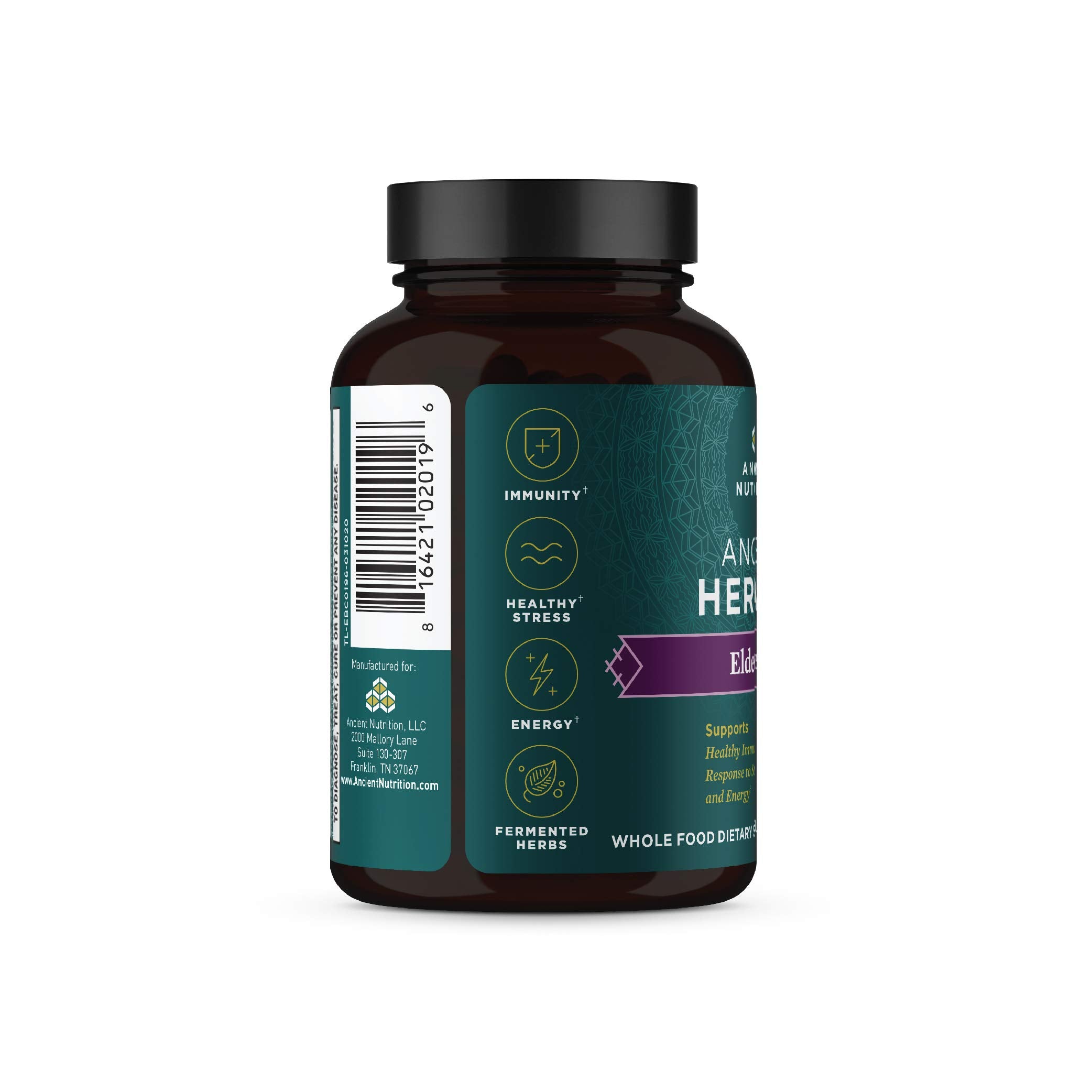 ancient herbals elderberry for seasonal support
