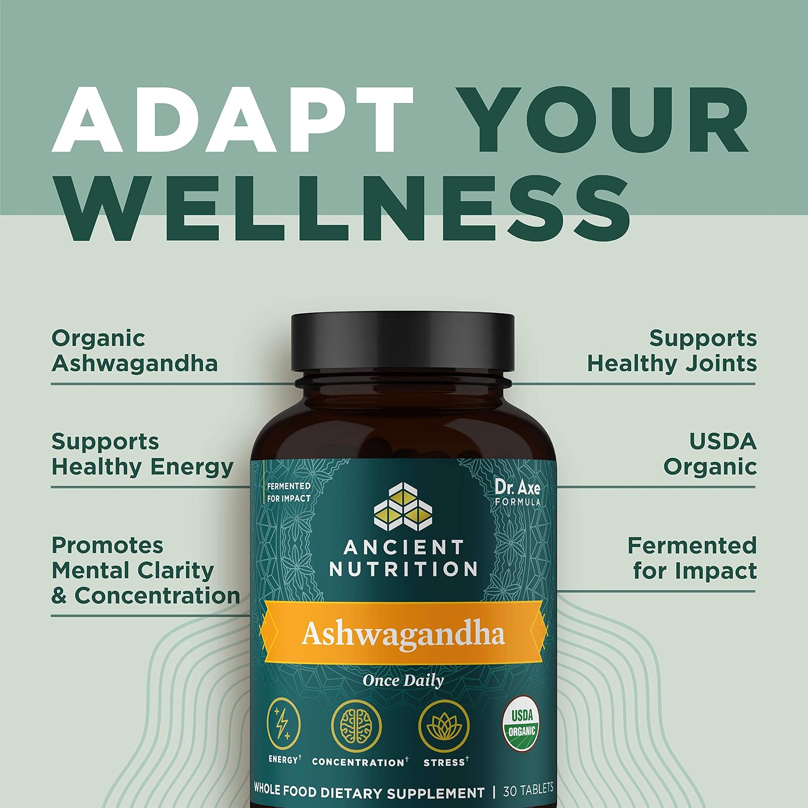 Ancient Nutrition ashwagandha for wellness