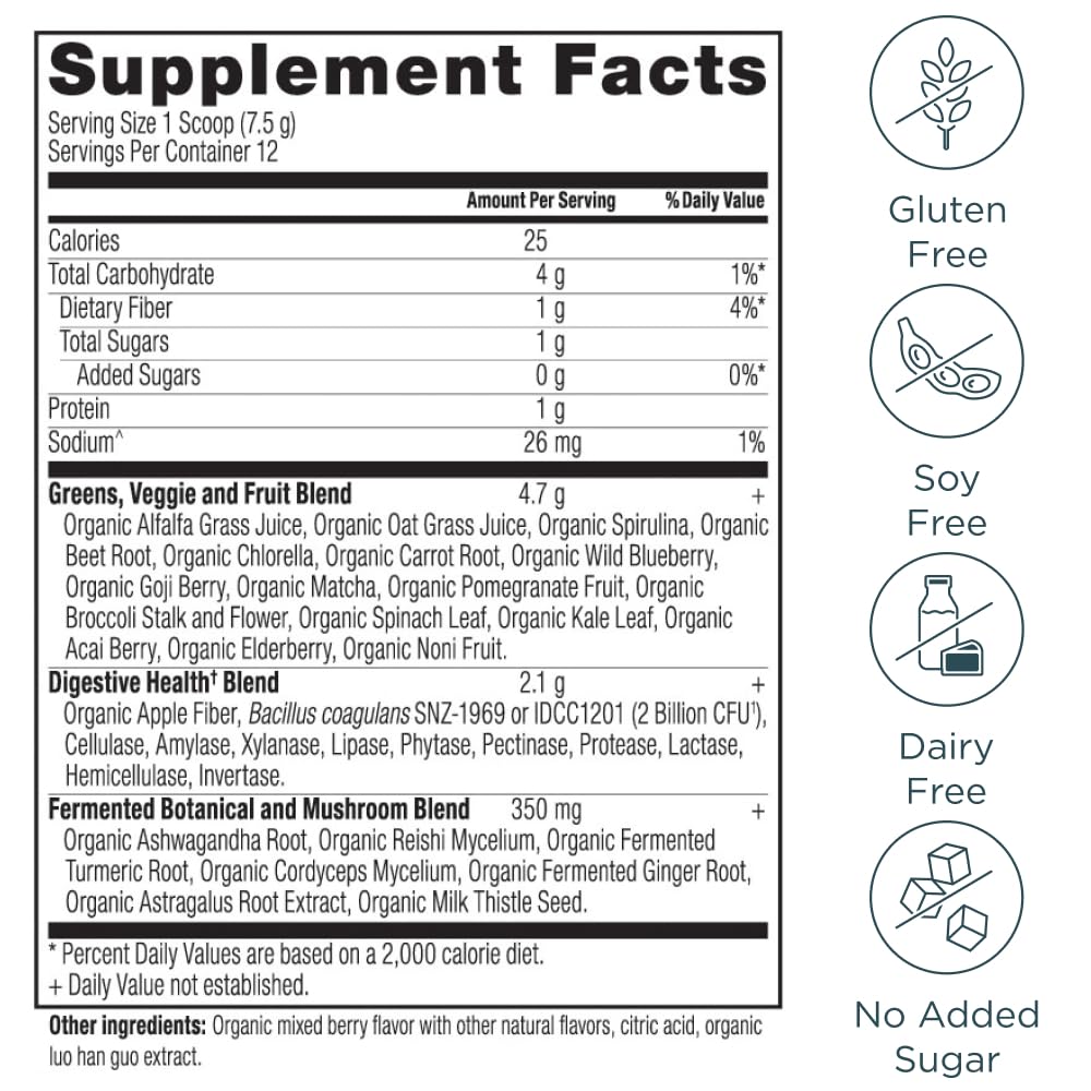 ancient nutrition berry powder
