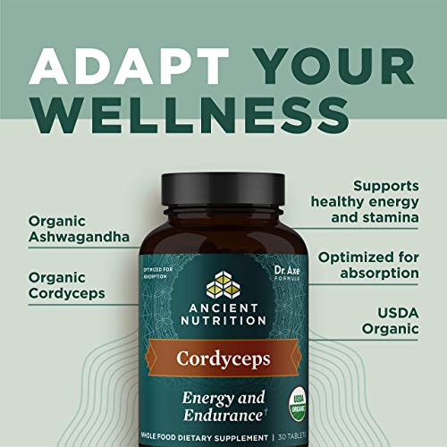ancient nutrition cordyceps benefits
