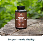 ancient nutrition for male wellness