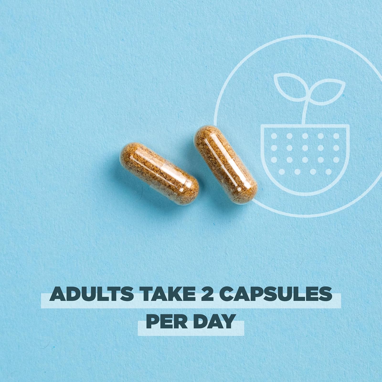 Ancient Nutrition gut health support