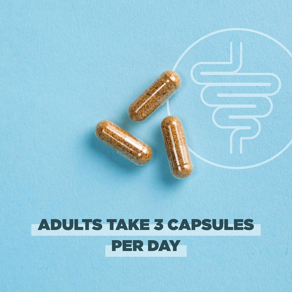 Ancient Nutrition gut repair blend