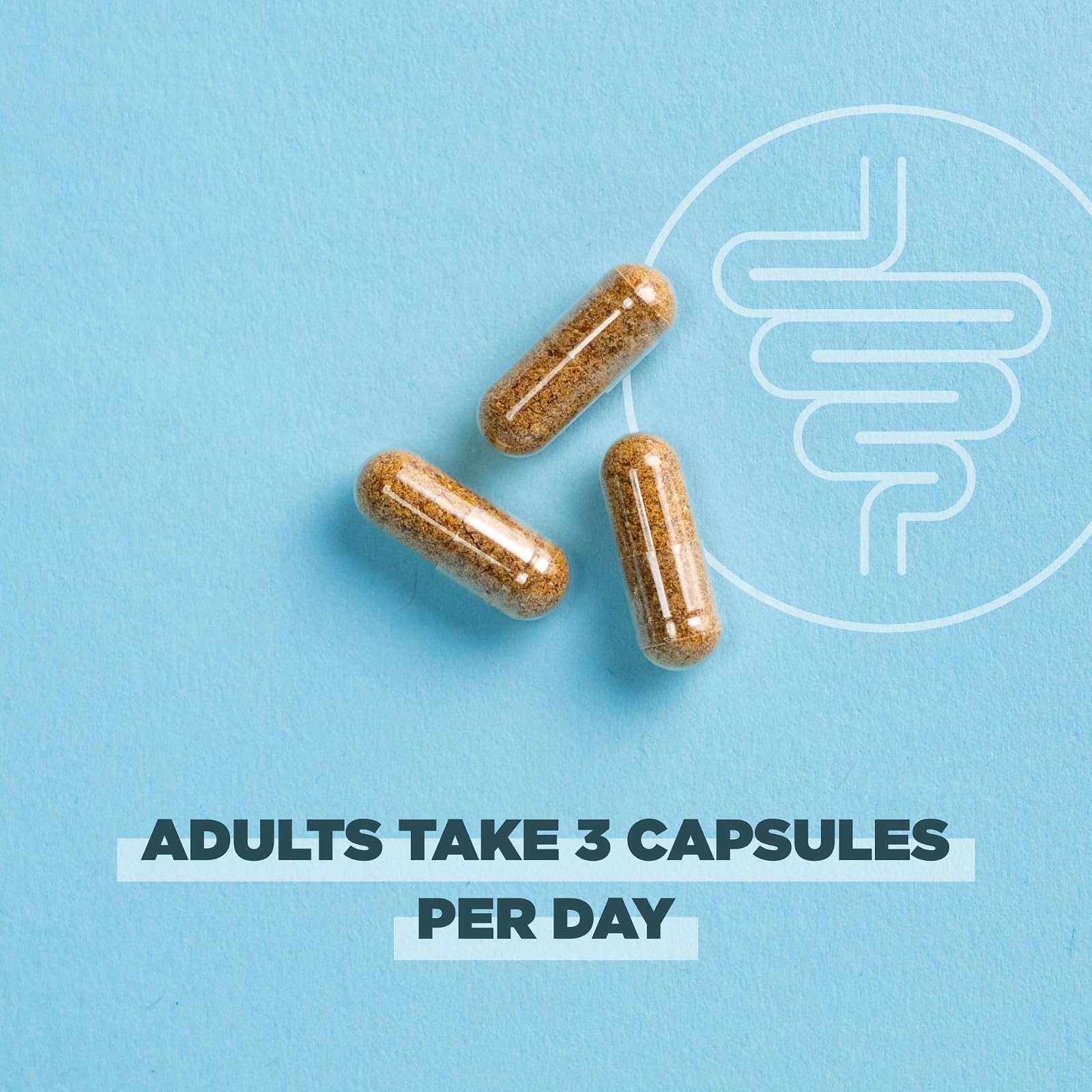Ancient Nutrition gut repair blend