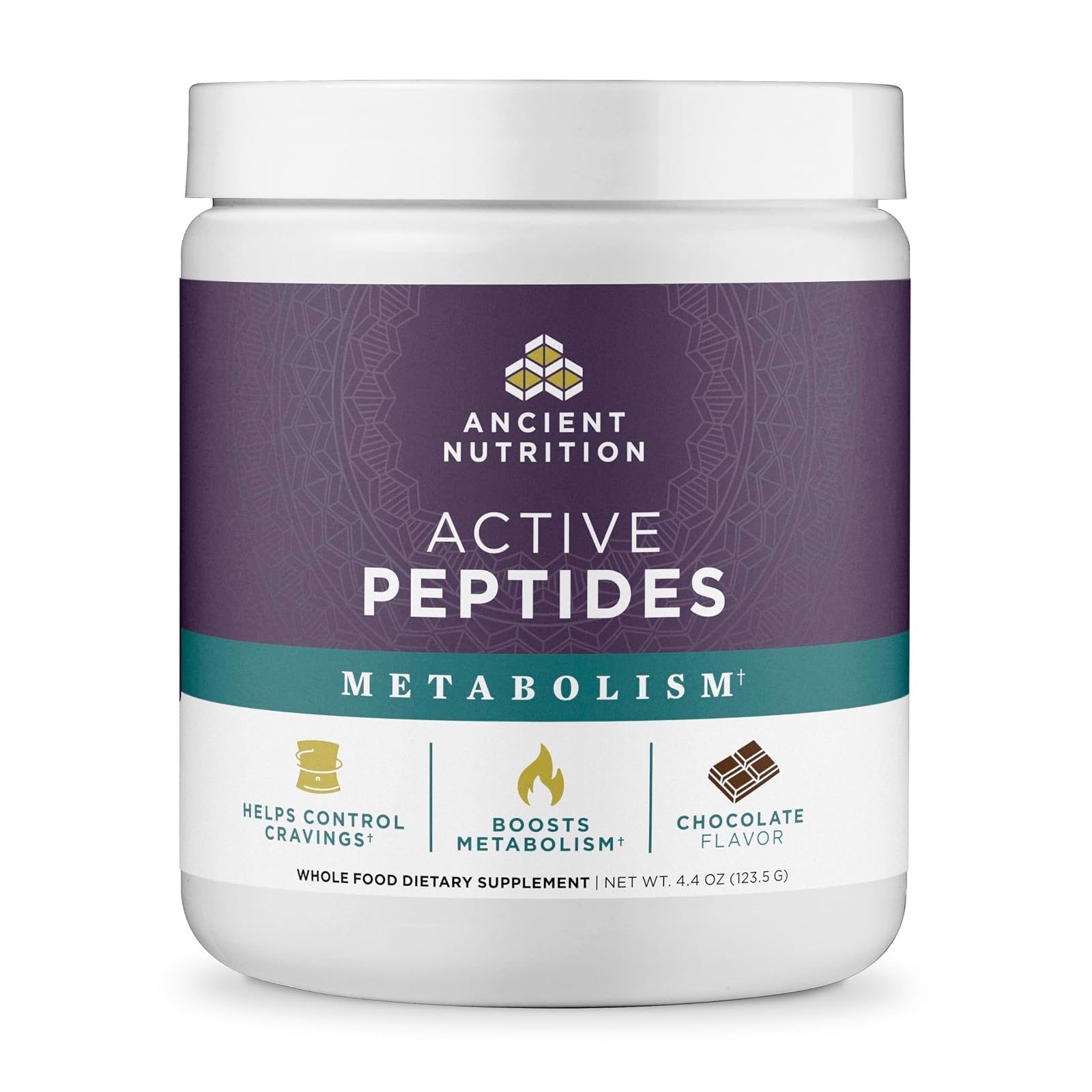 Ancient Nutrition metabolism powder chocolate