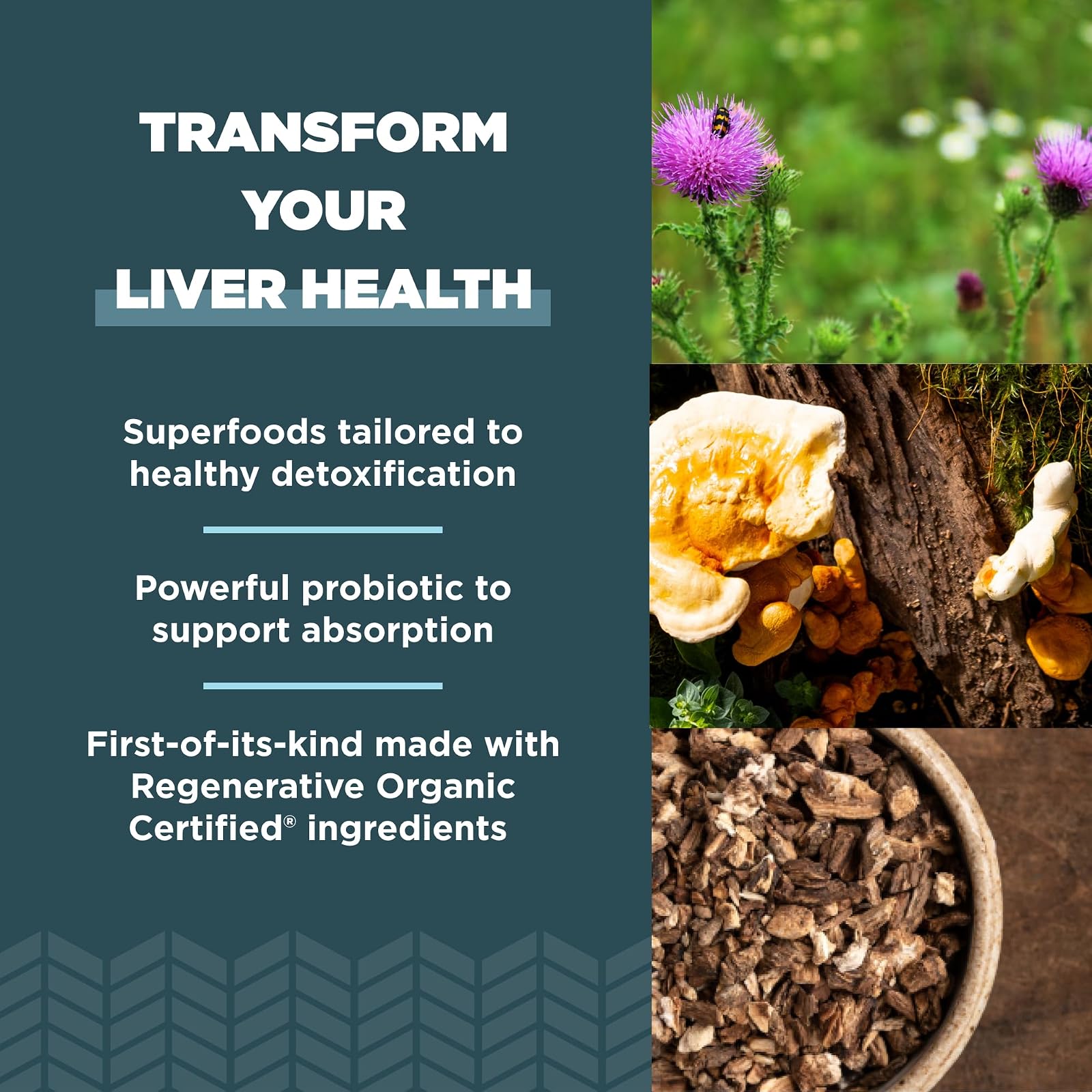Ancient Nutrition milk thistle benefits