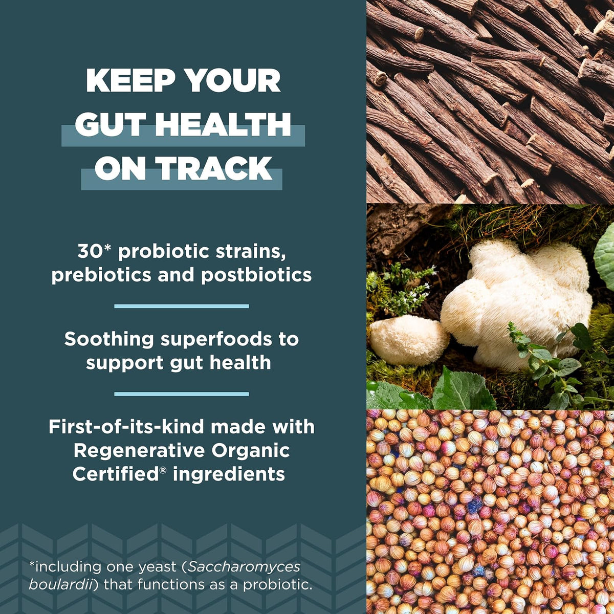 Ancient Nutrition probiotic supplement benefits