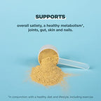 Ancient Nutrition protein for muscle recovery