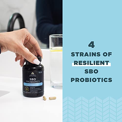 Ancient Nutrition SBO probiotics capsules