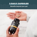 Ancient Nutrition SBO probiotics daily wellness