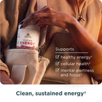 Ancient Nutrition sports nutrition for athletes