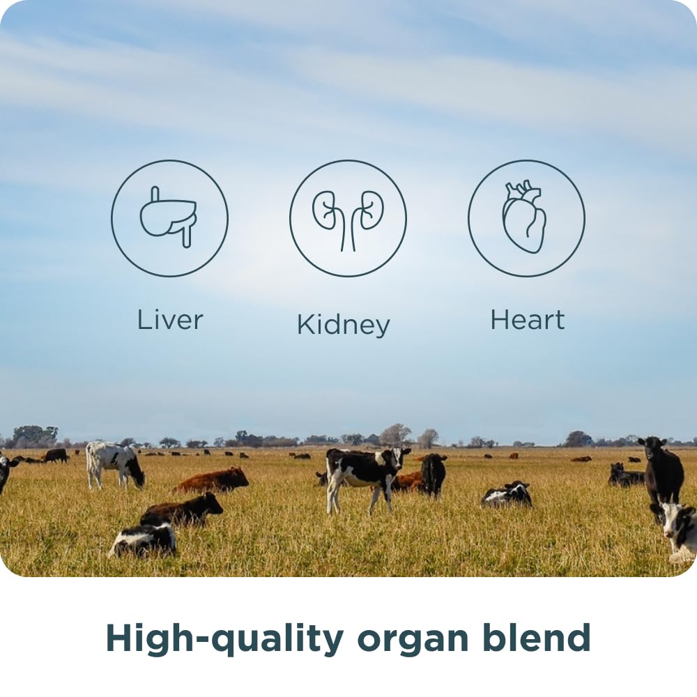 ancient nutrition vitamin blend