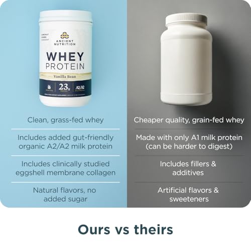 ancient nutrition whey protein blend