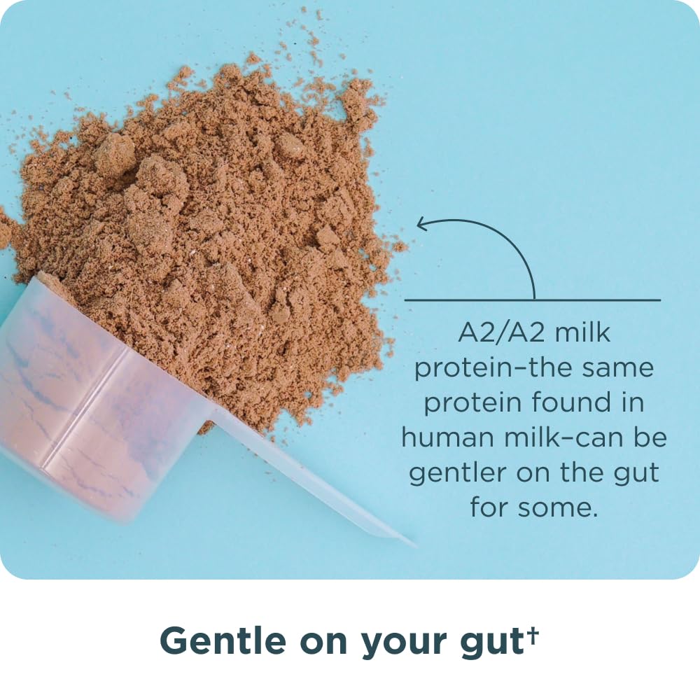 ancient nutrition whey protein milk
