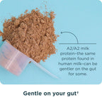 ancient nutrition whey protein milk