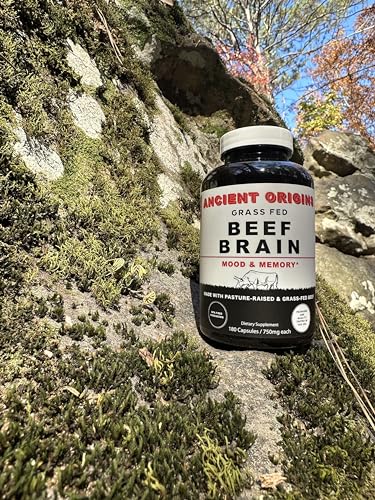 Ancient Origins brain health support