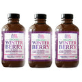 Andi Lynn's elderberry syrup for immunity