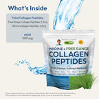 ANDREW LESSMAN collagen peptides benefits