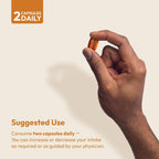 Andrew Lessman gummy multivitamin options