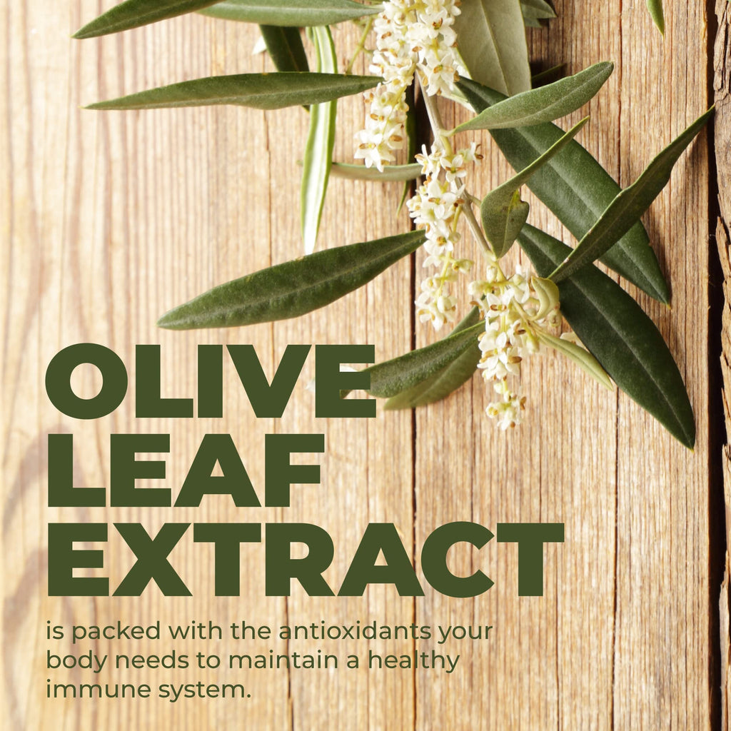 andrographis and olive leaf synergy