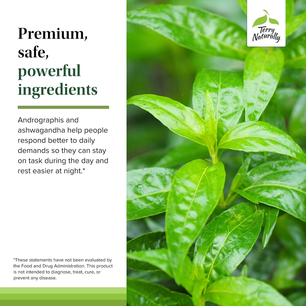 Andrographis benefits for overall health