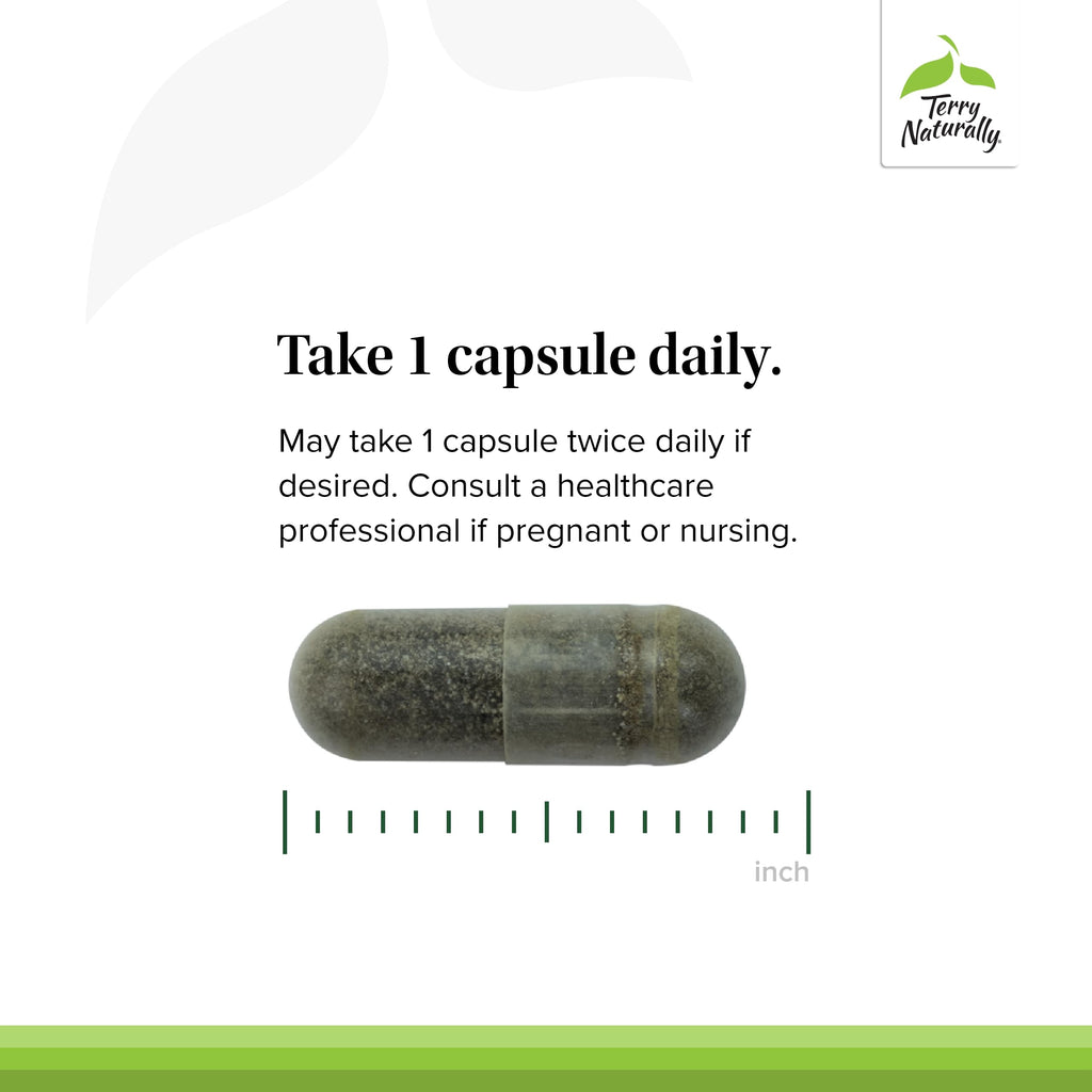 andrographis capsules for overall health