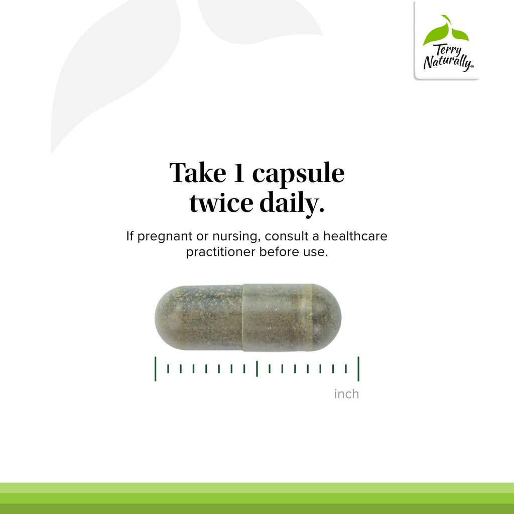 andrographis capsules for seasonal wellness