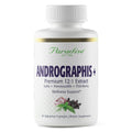 Andrographis Elderberry Isatis capsules for immune support