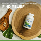 Andrographis extract for holistic health