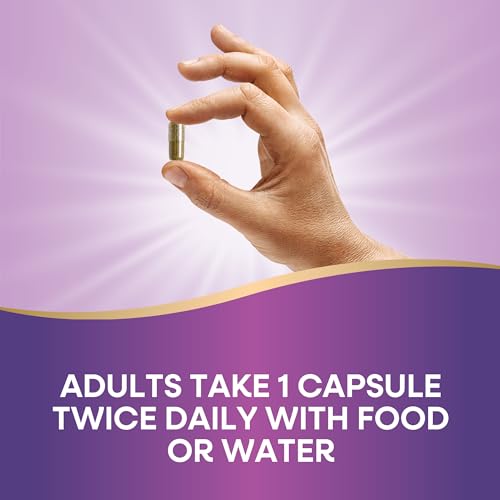Andrographis extract for immune strength