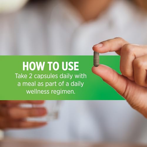 andrographis extract for overall health