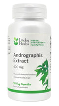 Andrographis extract immune support capsules