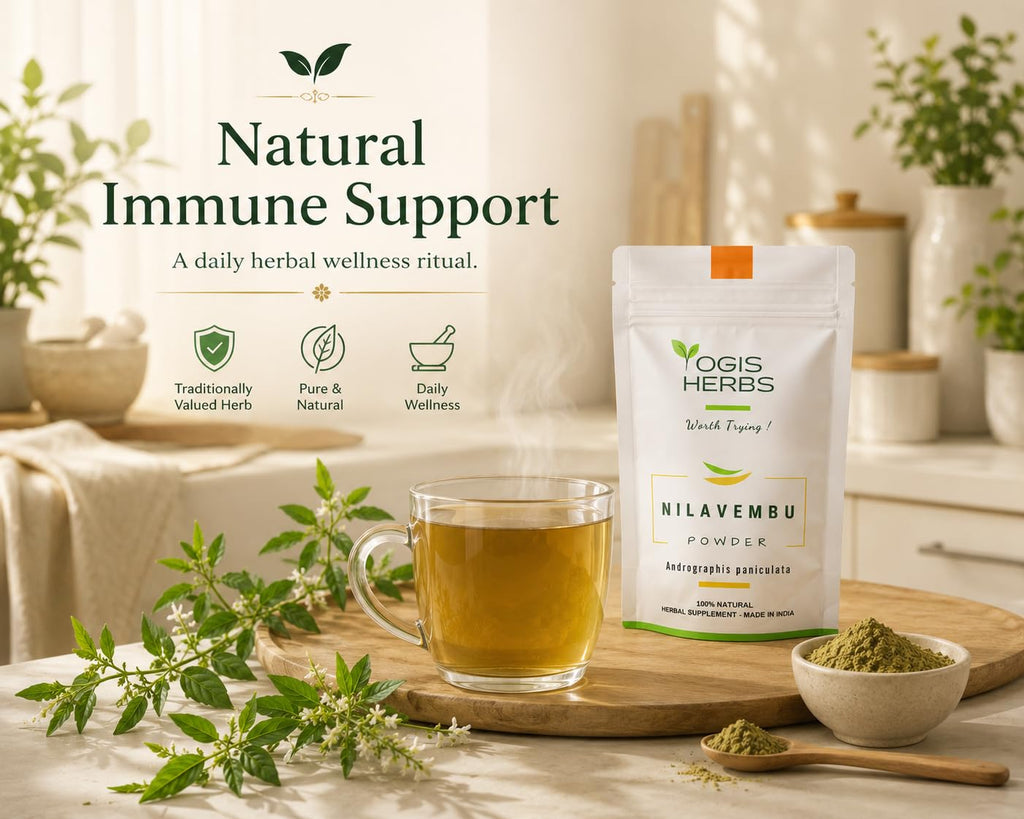 Andrographis paniculata energy booster