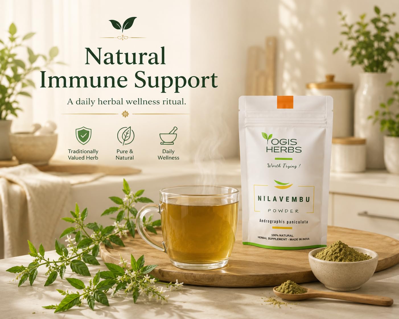 Andrographis paniculata energy booster