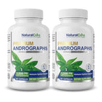 Andrographis Paniculata extract benefits