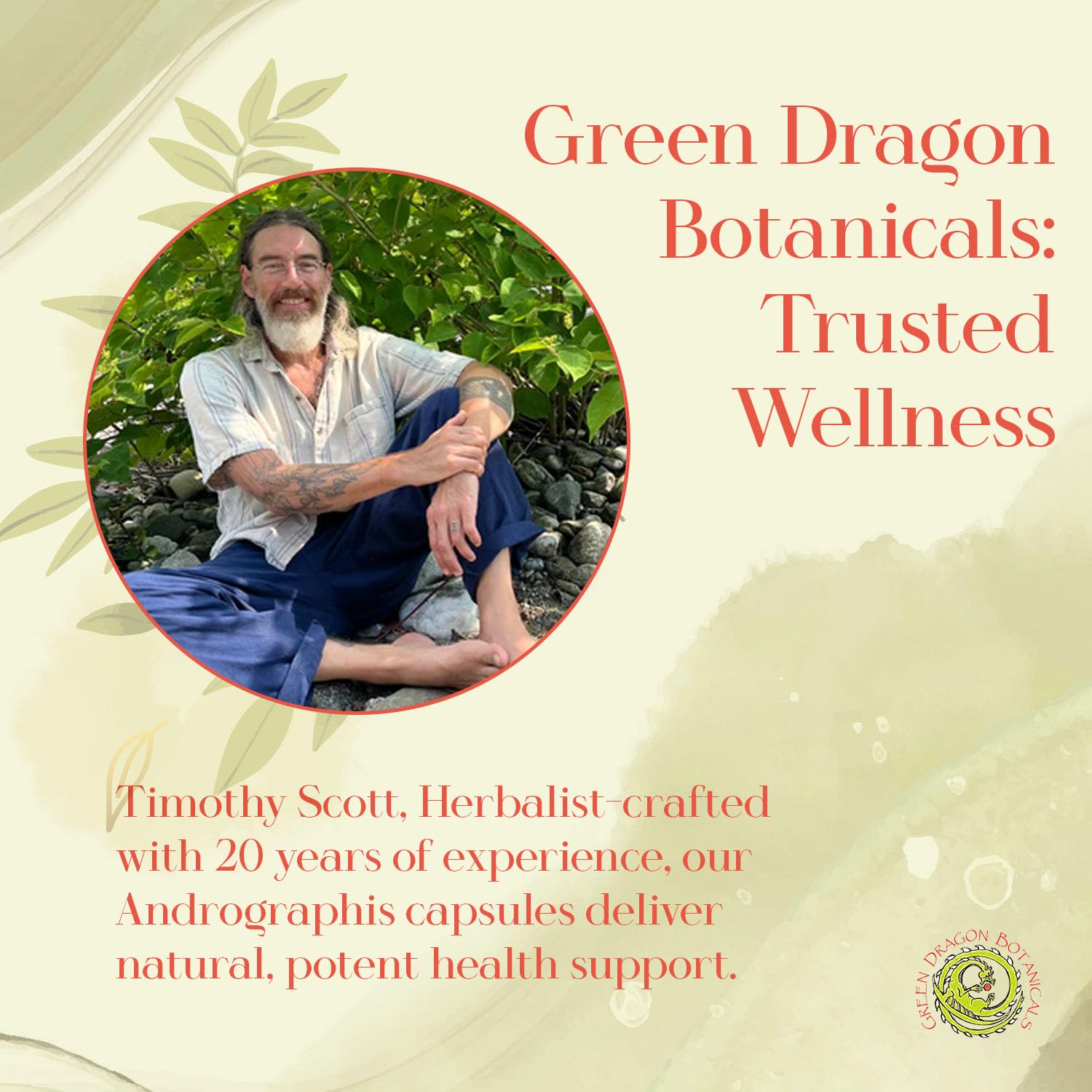 andrographis paniculata for daily wellness