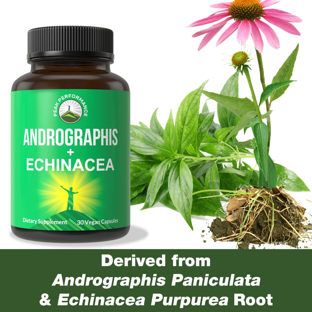andrographis paniculata for overall health