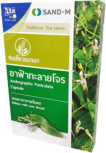 andrographis paniculata for respiratory health