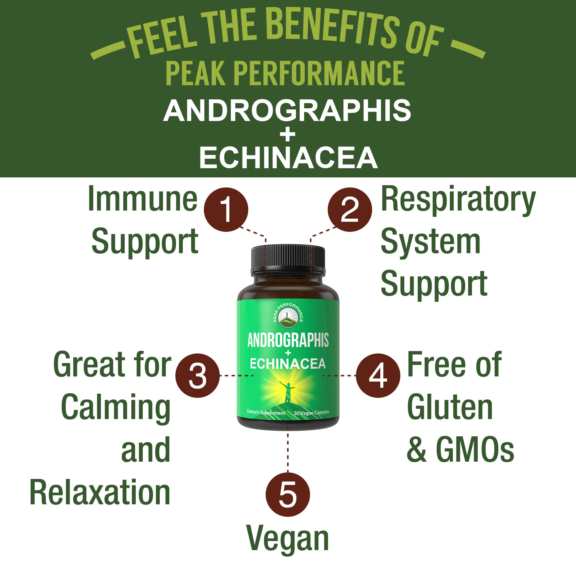 andrographis paniculata for seasonal wellness