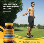 Andrographis Paniculata herbal supplement benefits