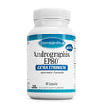 andrographis paniculata immune support