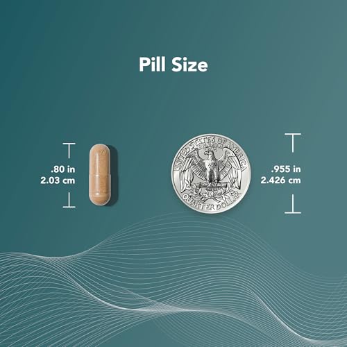 AndroSyn capsules for energy support
