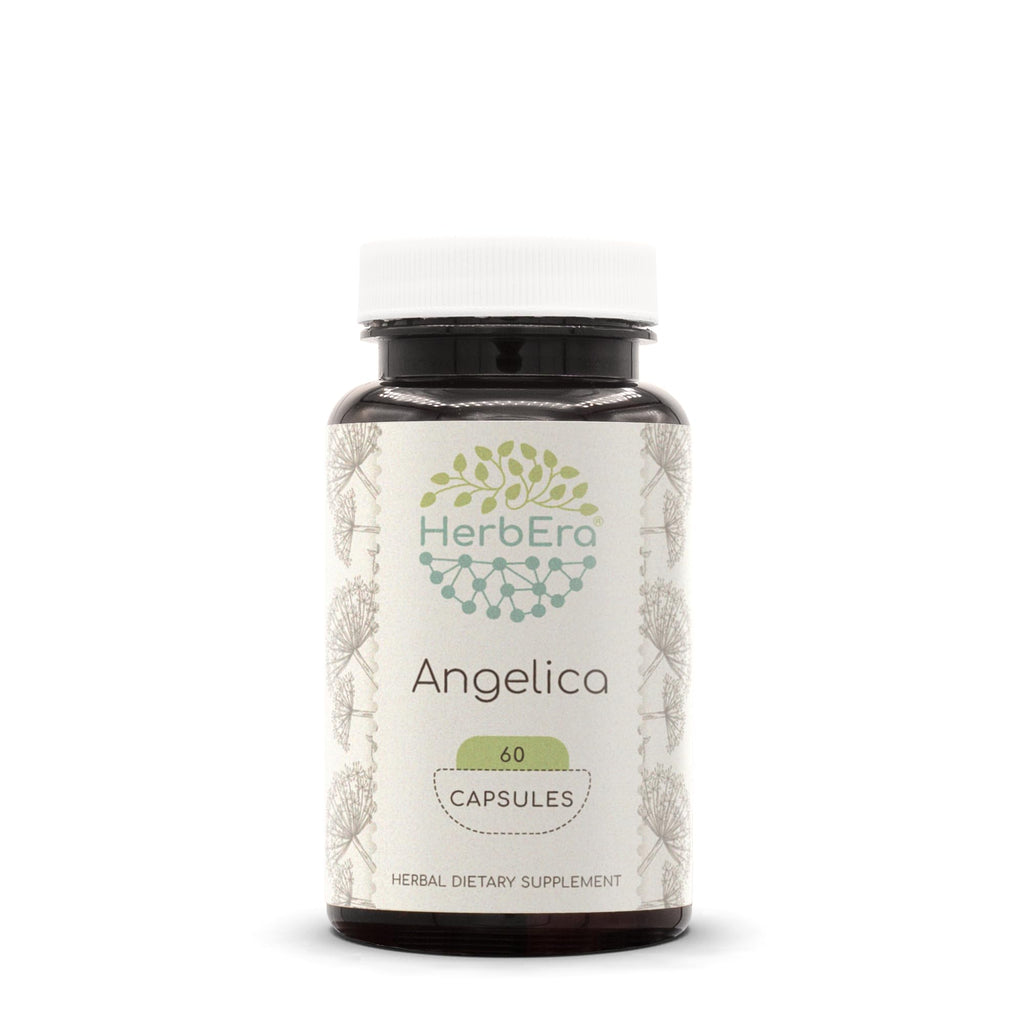 Angelica herbal supplements for wellness