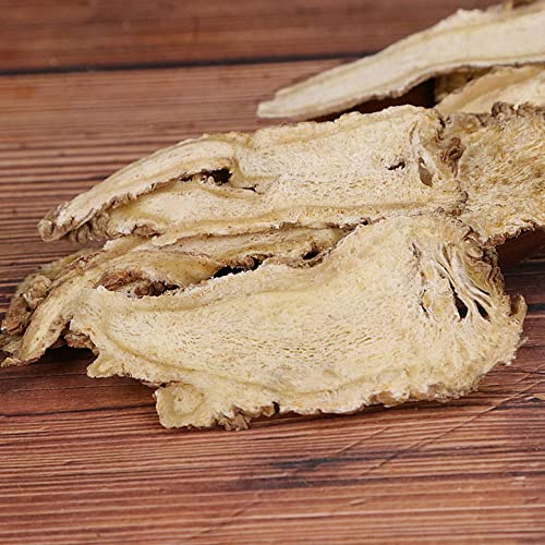 angelica root herbal supplement