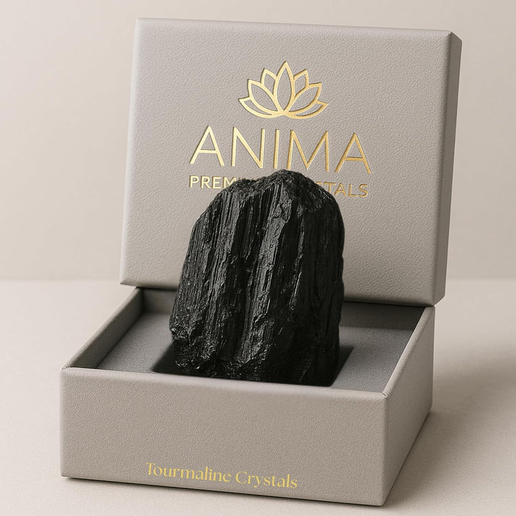 Anima black tourmaline energy shield