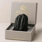 Anima black tourmaline energy shield