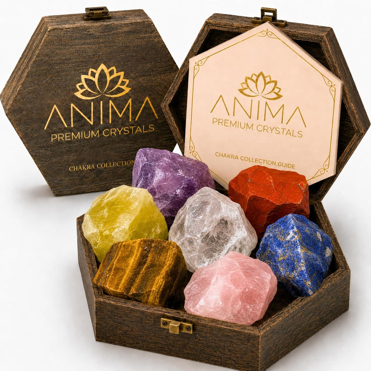 Anima chakra healing crystals set
